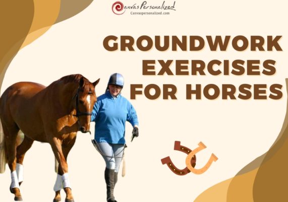 3 Interesting And Simple Groundwork Exercises For Horses