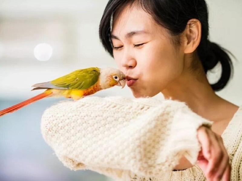 Say Goodbye To Messes: Potty Training Bird Tips And Tricks